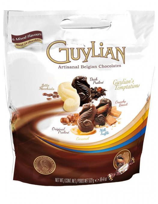 GUYLIAN TEMPT MIX POUCH 522 g